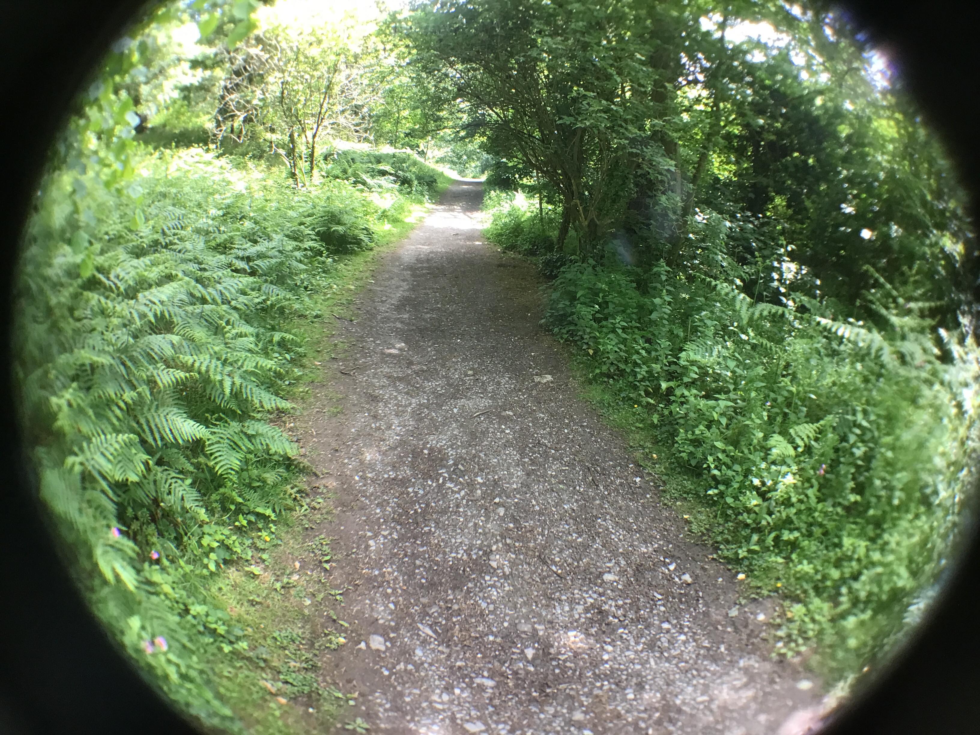 ExploringSeries120