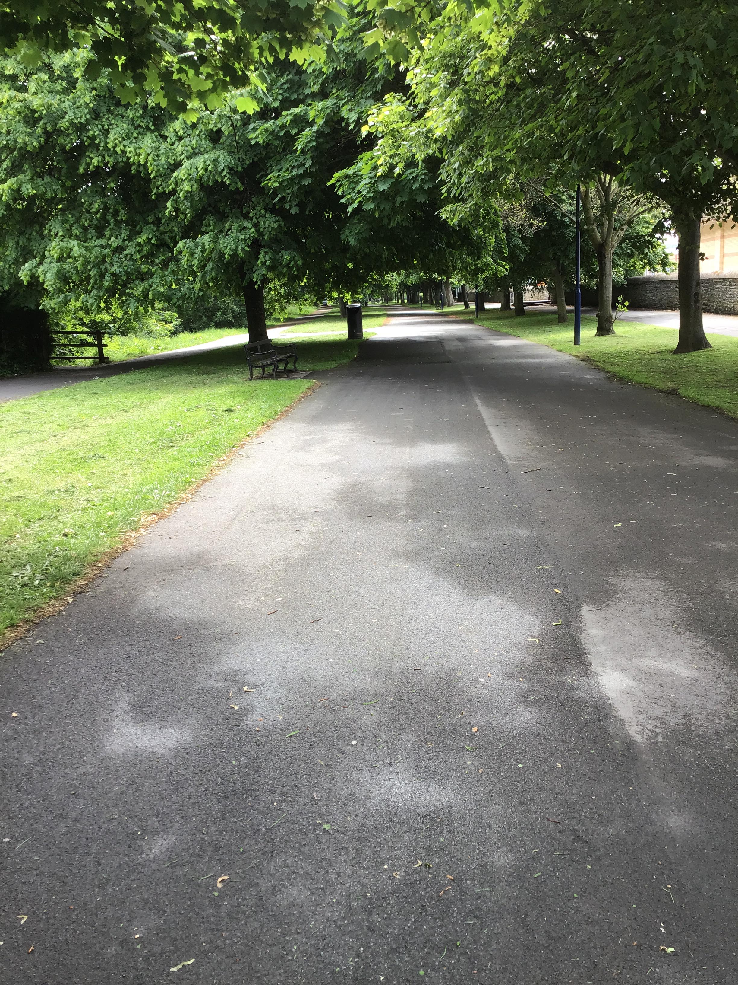 12ExploringBCSession