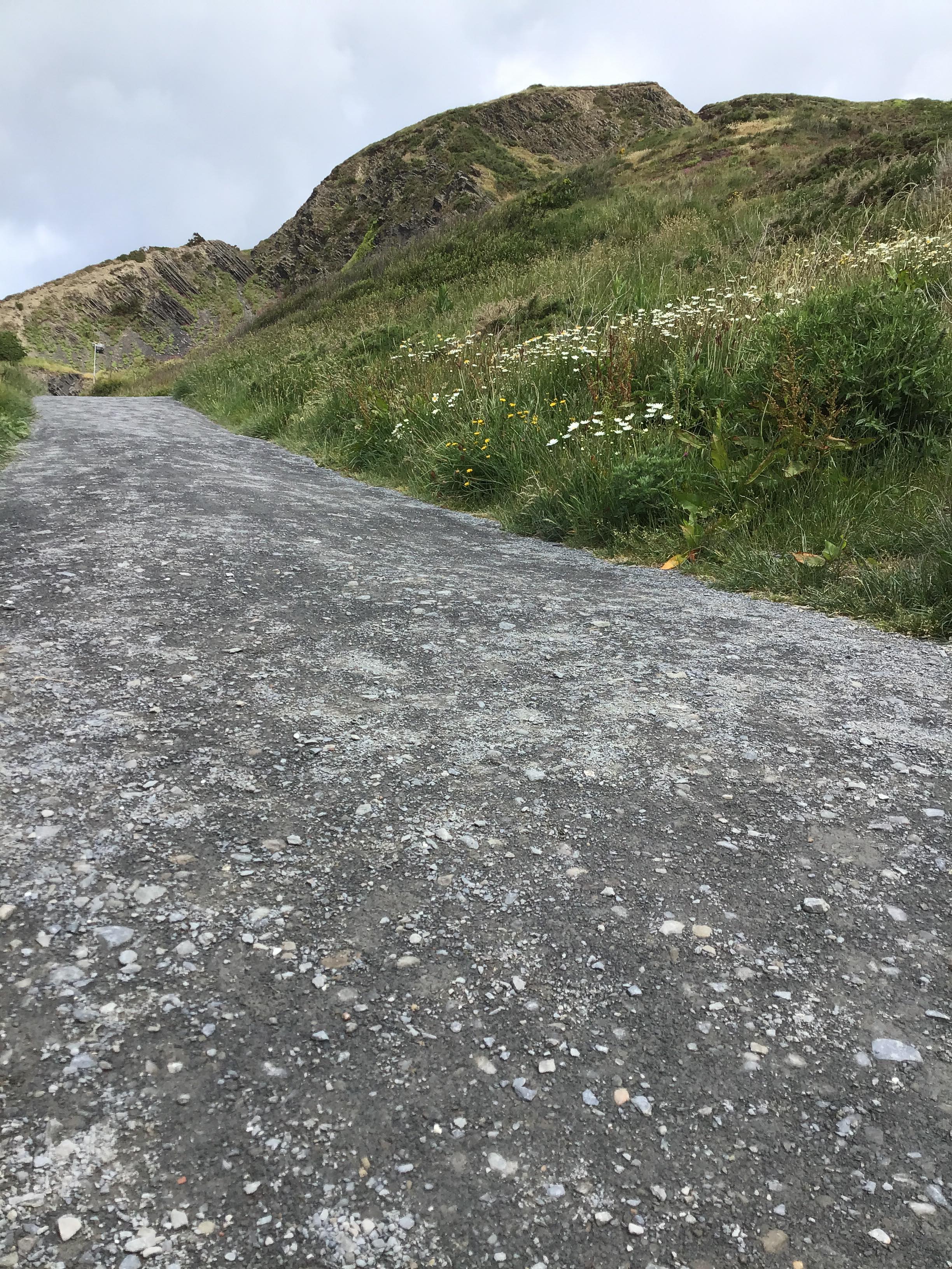 2ExploringLydiardHills